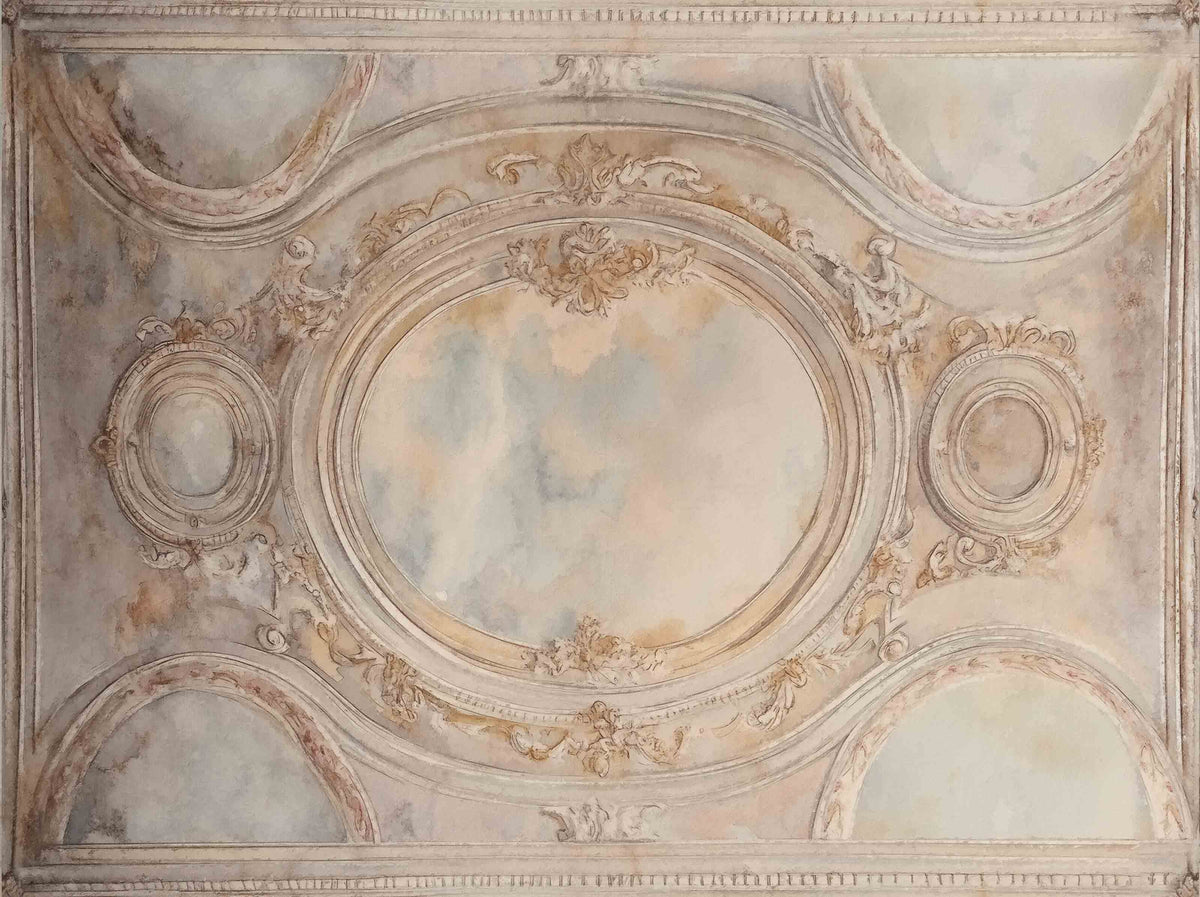 PLAFOND - PLASTER