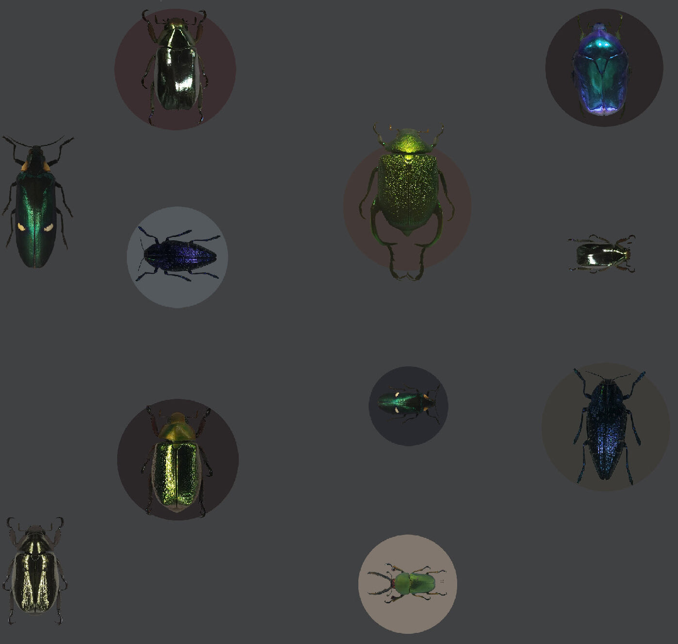 REPEATING PATTERNS– Page 2 – Fine & Dandy Co.